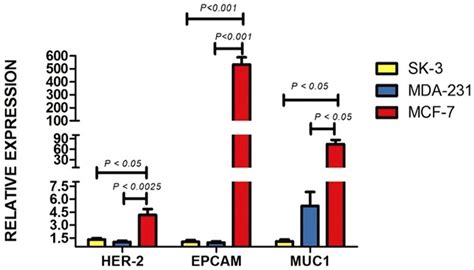 Gene Expression Profiling Of Breast Cancer Cell Lines Quantitative Download Scientific Diagram
