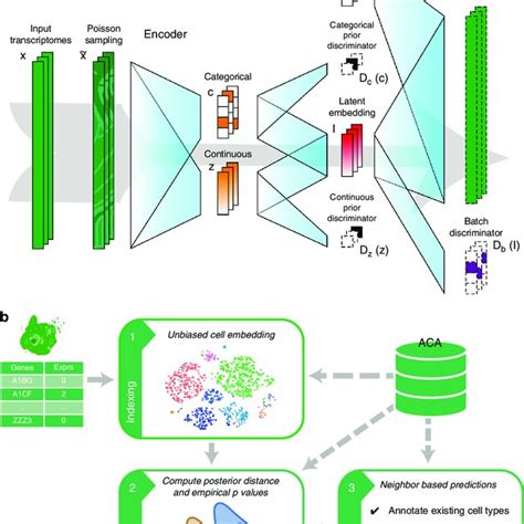 Ge GAO PhD Peking University Beijing PKU School Of Life Sciences