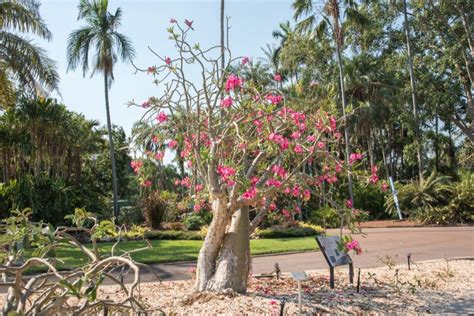 15 Best Things To Do In Darwin Australia