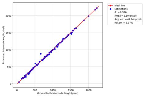 The Relationship Between The Estimated Internode Length And The Ground