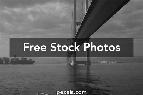Skyway Bridge Ocean Photos Download The Best Free Skyway Bridge Ocean