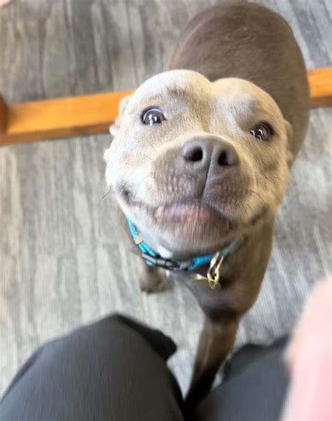 Weareioi Vicci Smith 66 Comments