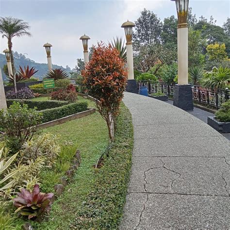 The Litle Road Tree Red Grass Geen And Tree Leaves Red And Green Also Yelow And Lamp Nice Stock