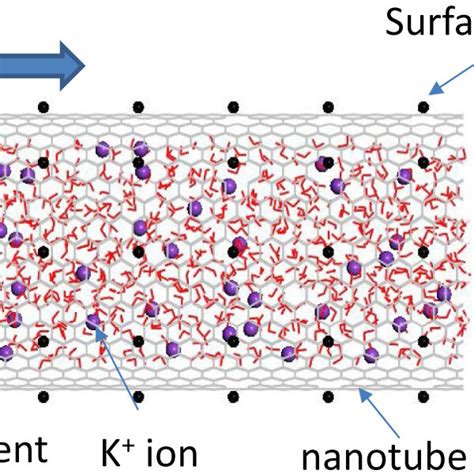 Md Computational Model Of The Pressure Driven Electrolyte Solution Download Scientific Diagram