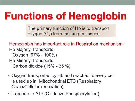 Chemistry And Function Of Hemoglobin Pptx Biological Sciences Science