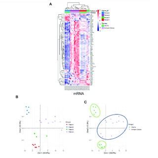 Unsupervised Hierarchical Clustering And PCA Of Tumor Regions Based