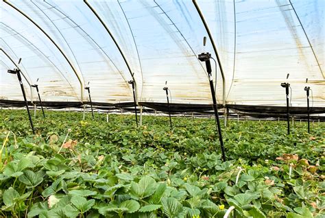 Pi Powered Pollination Monitors Support Farming In Australia Raspberry Pi