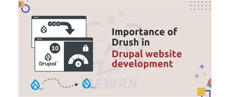 importance of drush in drupal website development dev community