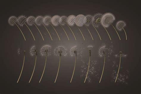 sorcar procedural modeling in blender using node editor released