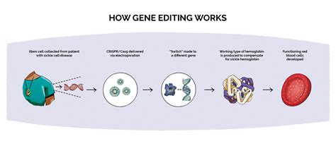 Gene Therapy In Sickle Cell Disease