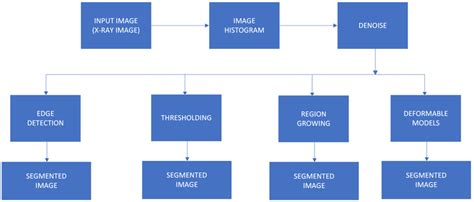 The Process Of Femur Bone Image Segmentation Download Scientific Diagram