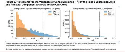 Deep Learning On Ct And Gene Expression In Copd Journal Of The Copd Foundation