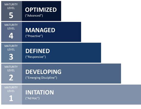 Assess Portfolio Maturity Early And Often Acuity Ppm