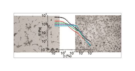 Effect Of Dmf On The Rheological Properties Of Telechelic Polyelectrolyte Hydrogels Macromolecules