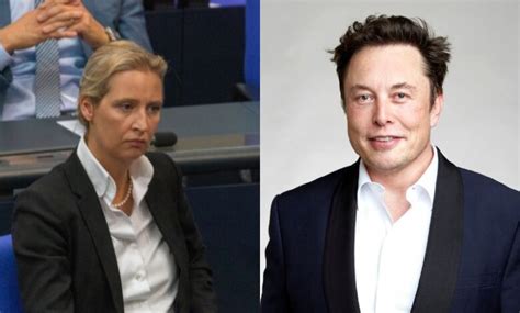 I Sindacati Tedeschi Abbandonano X Dopo Lo Streaming Con Weidel