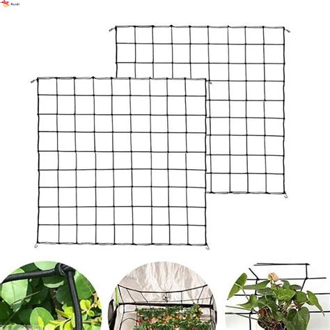 botanical elastic trellis net with hooks improve the horizontal growth
