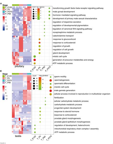 Figure 1 From Comprehensive Transcriptomic Analysis Revealing The