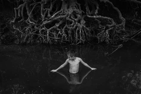 Roots And Branches Don T Take Pictures