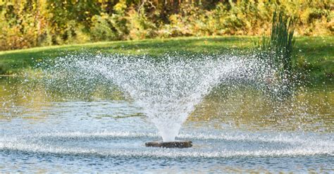 5 Key Benefits Of Installing A Pond Fountain Pondmedics