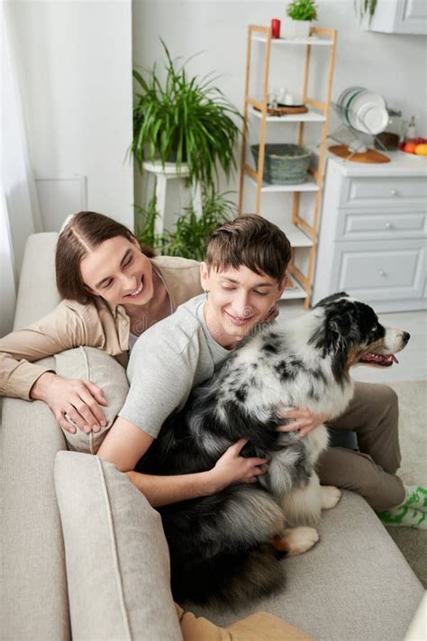 Young Homosexual Man Hugging Furry Australian Stock Image Image Of