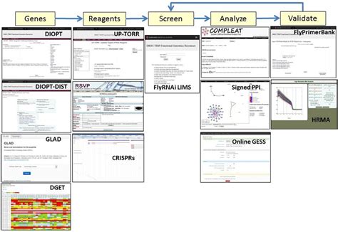 Using Online Tools In A Functional Genomics Workflow Various Online