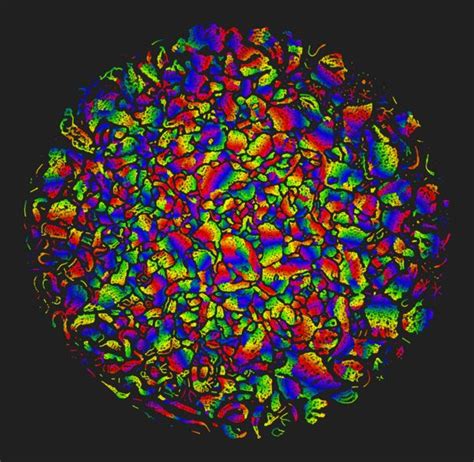 Carl Mcbride Ellis Phd On Linkedin Machinelearning Rapids Analytics