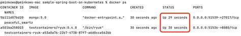 spring boot development mode with testcontainers and docker