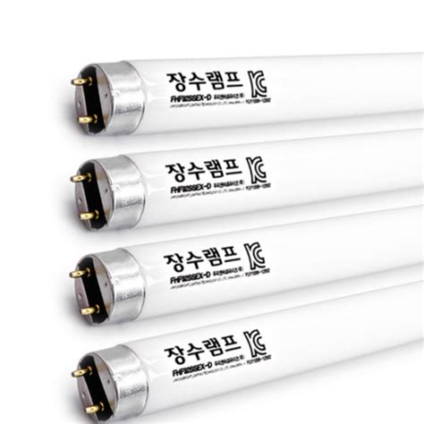 형광등 추천 비교 이 제품을 고르면 됩니다
