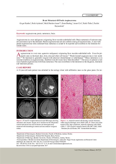 Pdf Brain Metastasis Of Penile Angiosarcoma