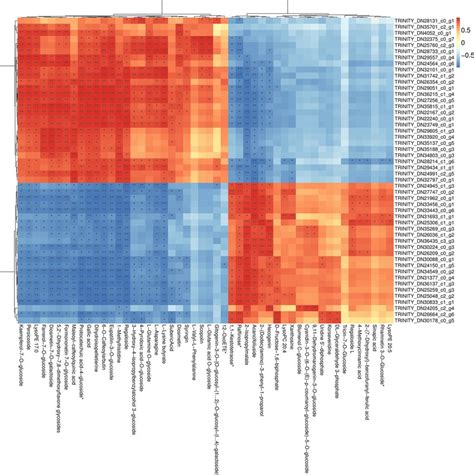 Correlation Heat Map Analysis Of Transcriptome And Metabolome Download Scientific Diagram
