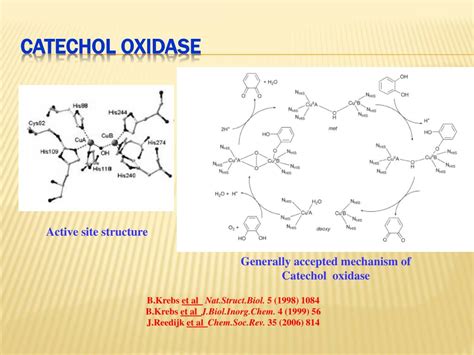Ppt Advanced Catalysis Biomimetic Oxidation Catalysis Powerpoint