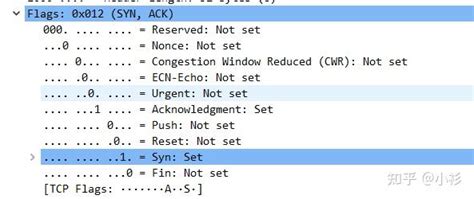 超详细的wireshark抓包使用教程 知乎