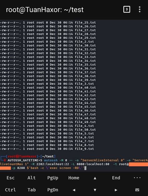 Linux Gnu Screen Clears Some Or All Of The Output History Displayed