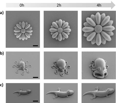 nmp chain extension of complex cam microstructures with styrene at