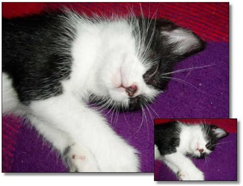 Photo Resize Magic Download