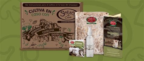 Vive una experiencia mágica con nuestro Kit Cultiva en Casa con Setas de Cuivá Setas de Cuivá