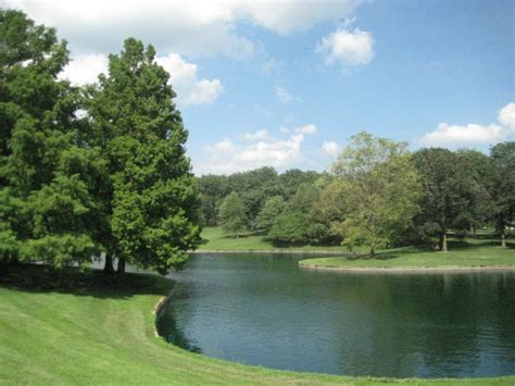 Nick Dewitt Brain Tangle