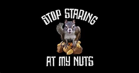 Stop Staring At My Nuts Funny Squirrel Squirrel Posters And Art