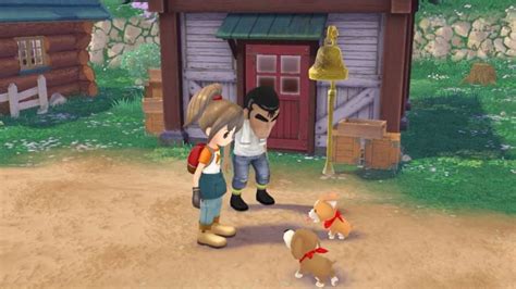 Is There Same Sex Marriage In Story Of Seasons A Wonderful Life
