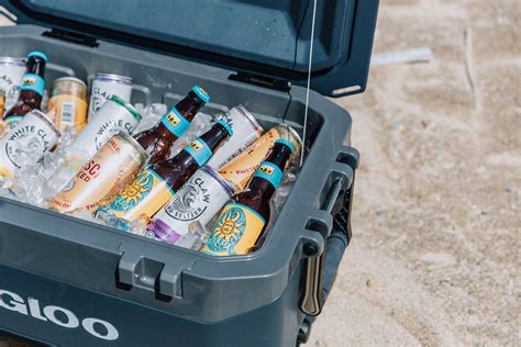 Large Cooler Weekends Harbor Country