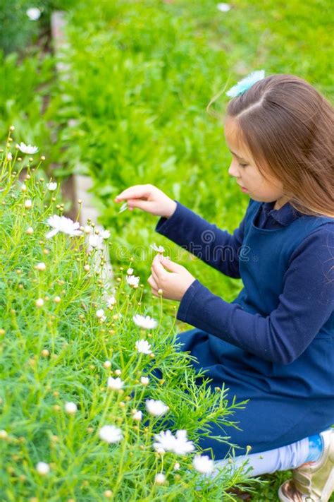 Smiling babe Latina Girl in Garden Picking Flowers Stockbild Bild von nett glücklich