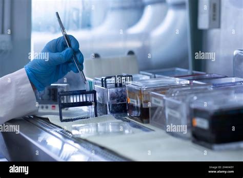 Sample Processing Lab Dkfz At Kristen Loveland Blog