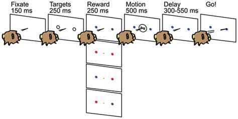 A Two Alternative Forced Choice Motion Discrimination Task With Download Scientific Diagram