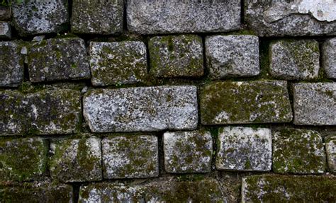 이끼가있는 오래된 콘크리트 벽돌 벽은 배경에 사용할 수 있습니다 거친에 대한 스톡 사진 및 기타 이미지 거친 건물 외관 건설 산업 Istock