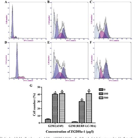 Figure 1 From Induction Of G 2 M Phase Arrest And Apoptosis By Zgdhu