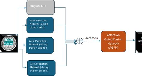 Figure 1 From Attention Gated Multi Axial Fusion Network For Brain Mri Lesion Segmentation