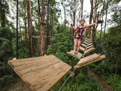 Tree Top Challenge At The Big Pineapple High Ropes Course