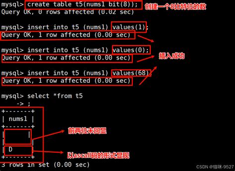 Mysql数据类型mysql Varchar Csdn博客