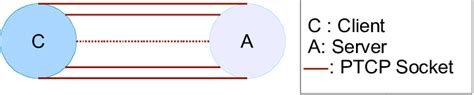 client and server layout for ptcp test case parallel tcp streams were