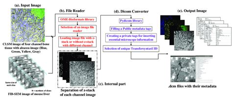 Pipeline For The Conversion Of Clsm And Fib Sem Microscope Imaging